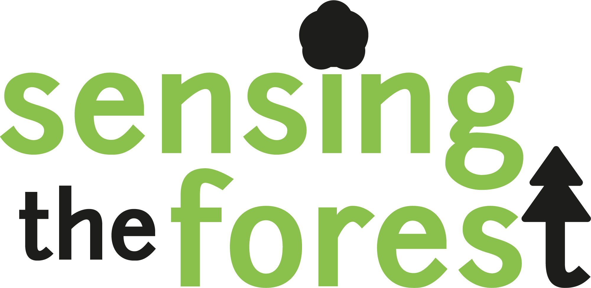 Daniel Gill | Sensing the Forest